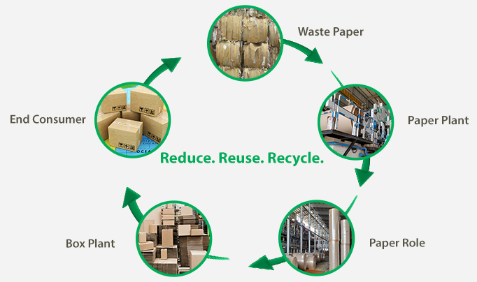 Astron Paper & Board Mill
